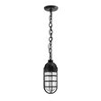 Industrial Guard LED Chain Pendant Light | Barn Light
