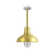 Dino Stem Pendant Light | Barn Light Electric