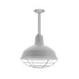 Dino Stem Pendant Light | Barn Light Electric