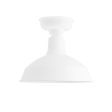 Dino LED Flush Mount Light | Barn Light Electric