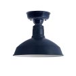 Dino LED Flush Mount Light | Barn Light Electric