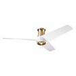 Ambit Flush DC Ceiling Fan | Barn Light Electric