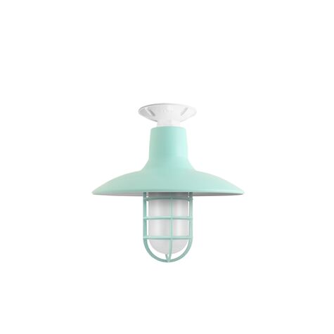 duck egg flush ceiling light