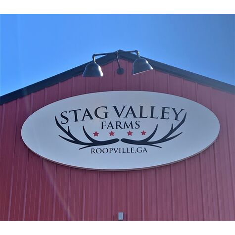 Dual Arm Emblem Sign Light | Barn Light Electric