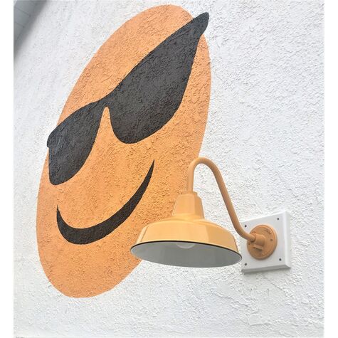 Avalon Gooseneck Light | Barn Light Electric