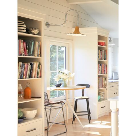 Seaside Gooseneck Light | Barn Light Electric