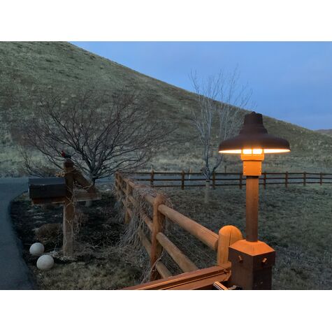 Union Industrial Guard Post Mount | Post Mount Light