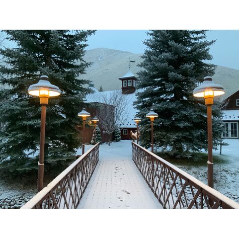 Union Industrial Guard Post Mount | Post Mount Light