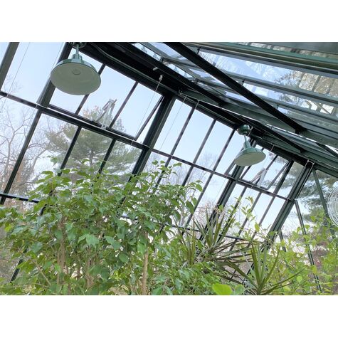 Dino LED Stem Pendant Light | Barn Light Electric