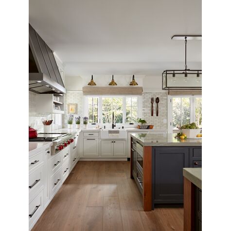 Bomber Gooseneck Light | Barn Light Electric