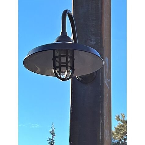 Bridgeport LED Vintage Industrial Gooseneck Light | Barn Light Electric