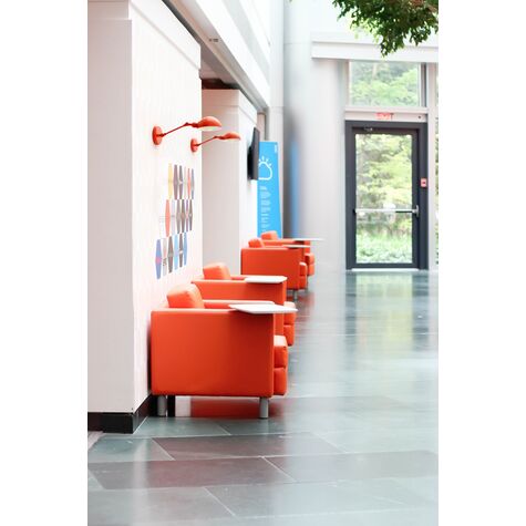 Parabolic Wall Sconce | Barn Light Electric