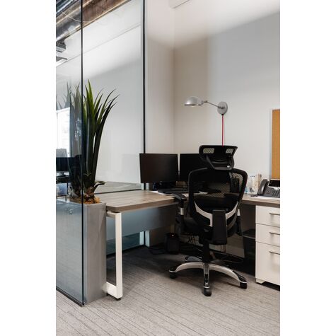 Parabolic Plug-In Wall Sconce | Barn Light Electric