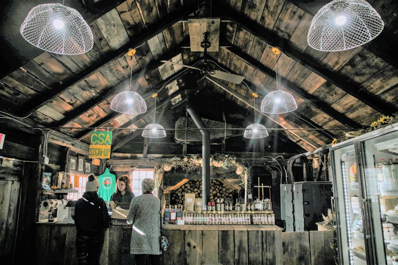 Chicken Wire Ceiling Pendants Right at Home Down on the Farm ...
