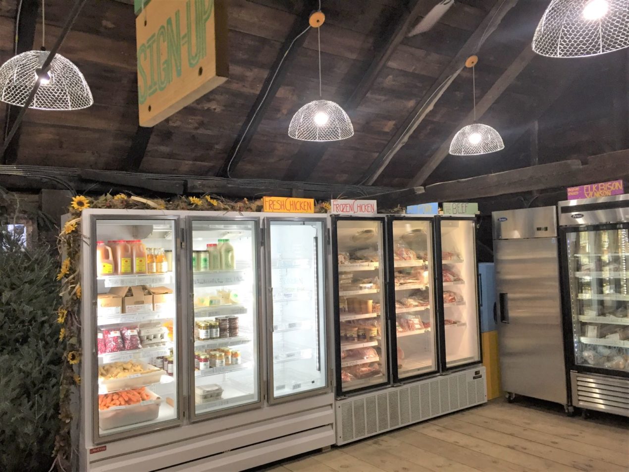 Chicken Wire Ceiling Pendants Right at Home Down on the Farm ...