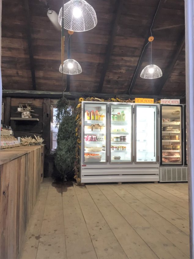 Chicken Wire Ceiling Pendants Right at Home Down on the Farm ...