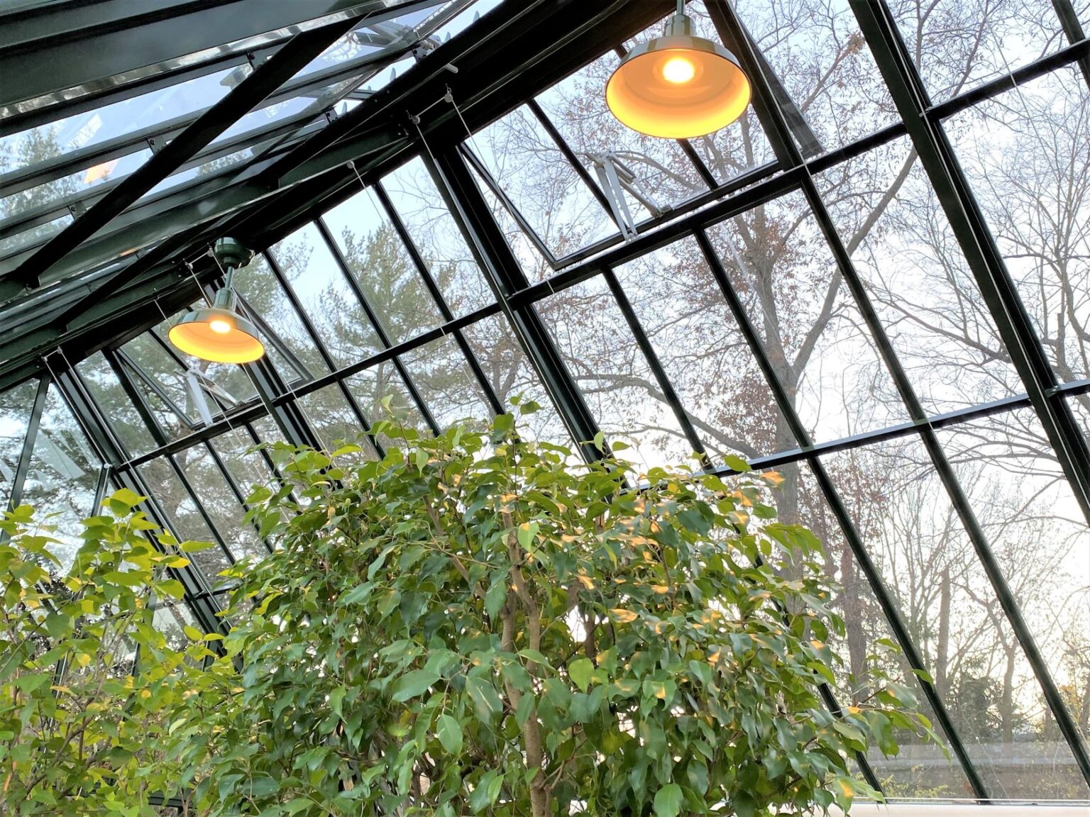 Energy-Efficient LED Pendant Lighting Adorns New Greenhouse