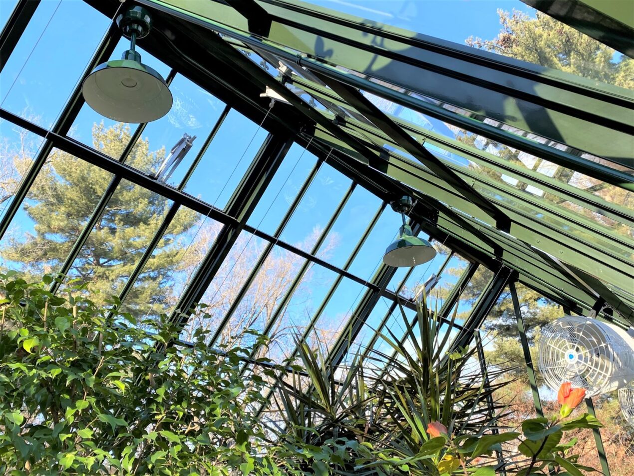 Energy-Efficient LED Pendant Lighting Adorns New Greenhouse